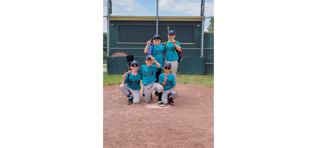 Holly Hills Baseball > Home